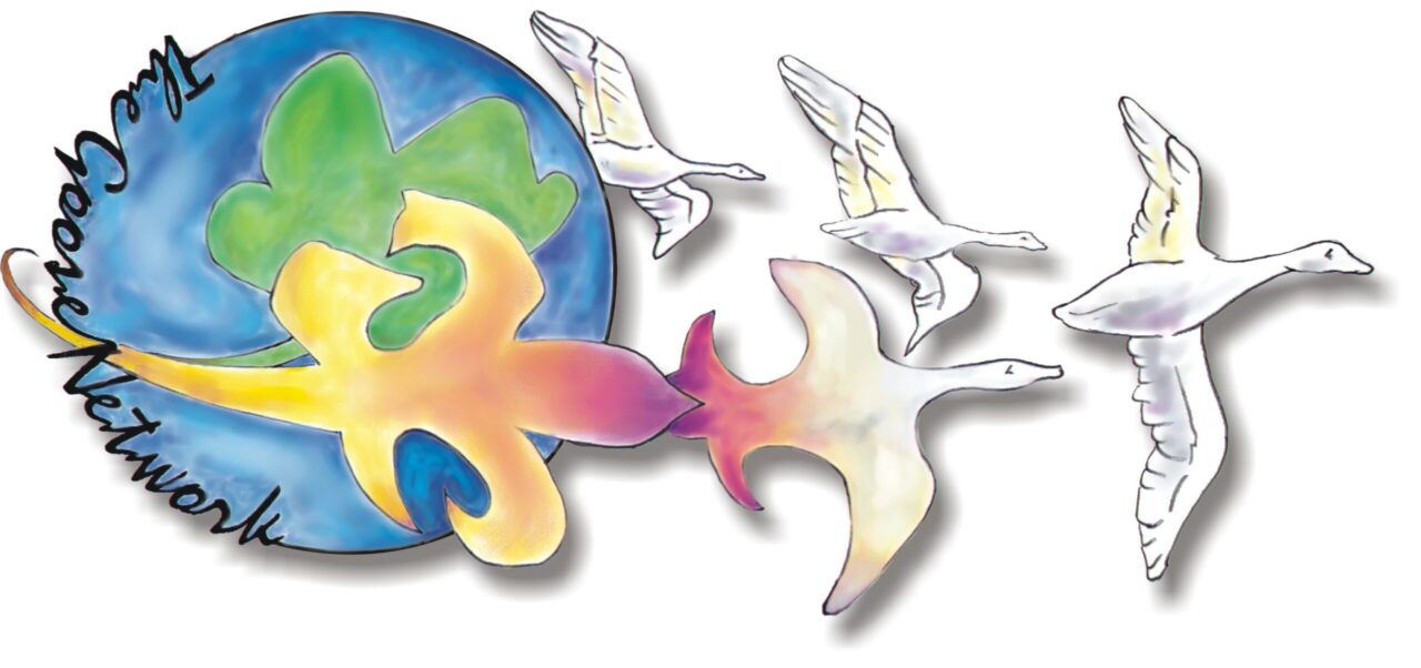 GOOSE Network - Houens Odde Scout Centre